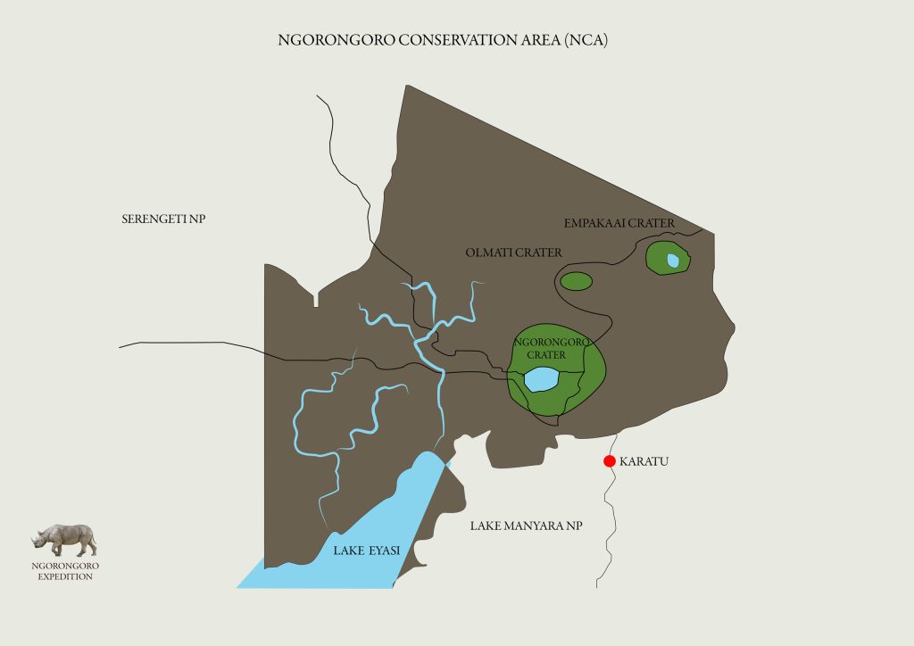 Ngorongoro Crater Day Tour 2026 - Best Safari from Arusha